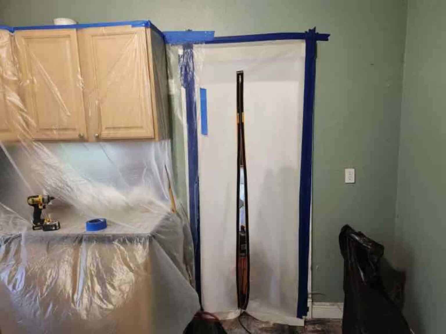How To Remove Mold From Painted Walls | Mold Remediation