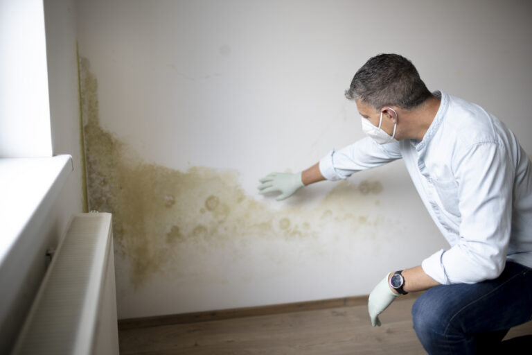 Mold Exposure Symptoms: Timeline, Health Risks & Next Steps